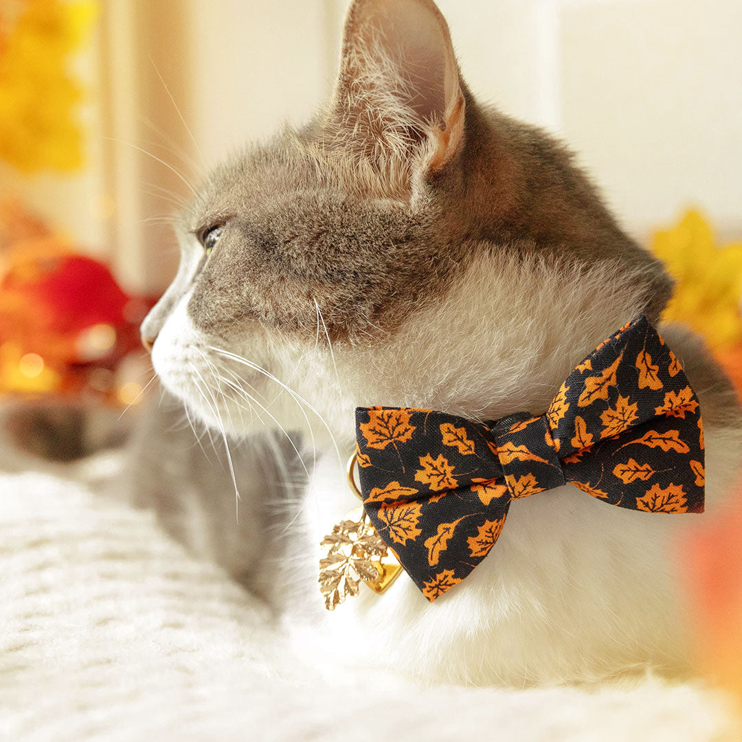 Pet Bow Ties | Shop Bow Ties for Cat & Small Dog - Made By Cleo