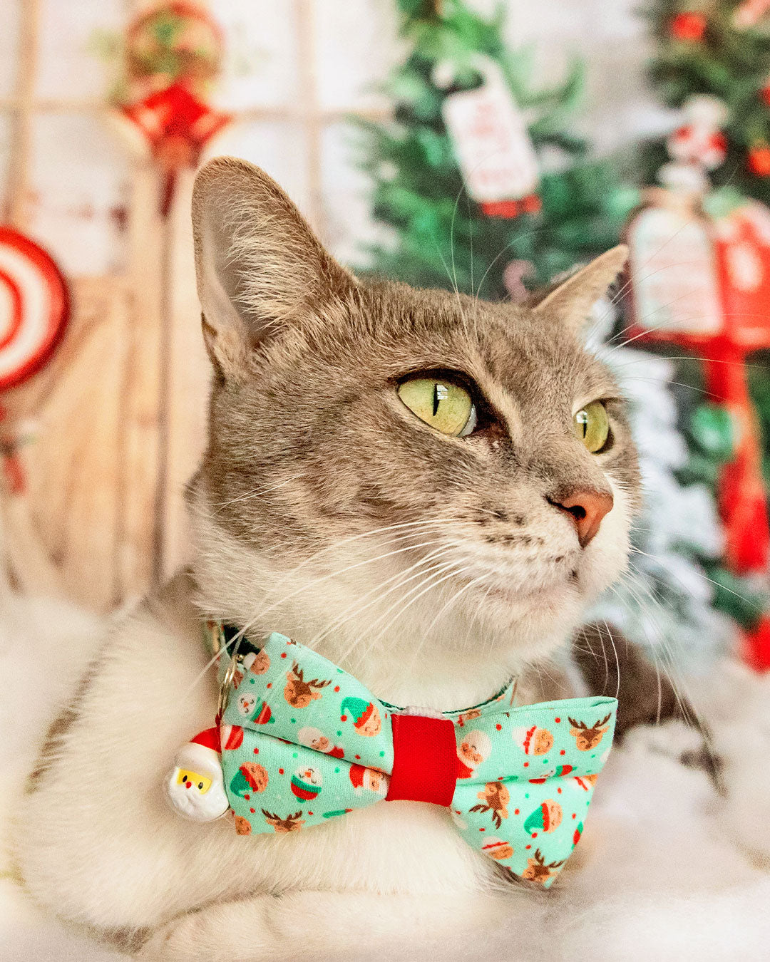 Pet Bow Ties | Shop Bow Ties for Cat & Small Dog - Made By Cleo