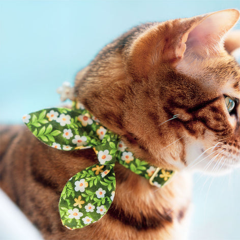 Stylish & Unique Cat Collars + Cat Bow Ties and Personalized ID Tags