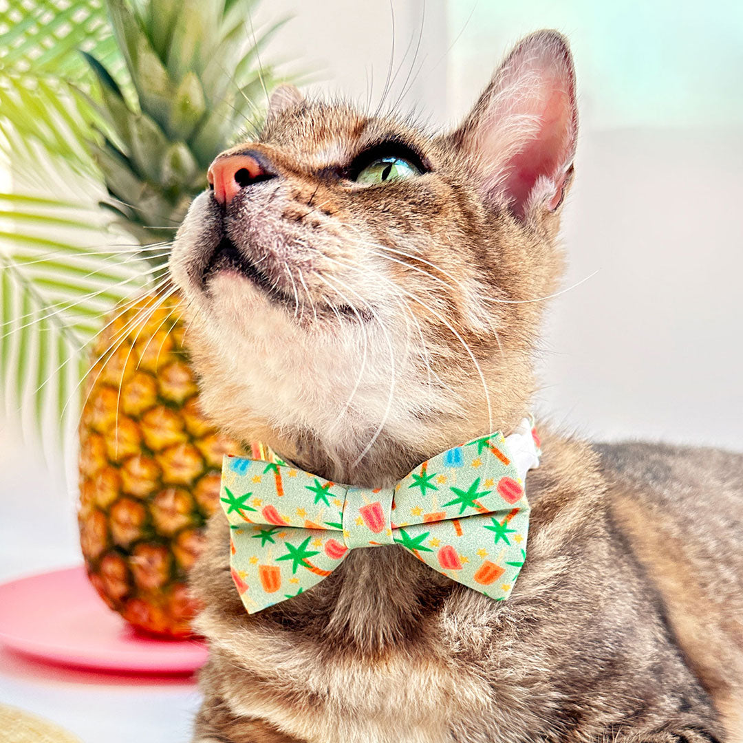Pet Bow Ties | Shop Bow Ties for Cat & Small Dog - Made By Cleo
