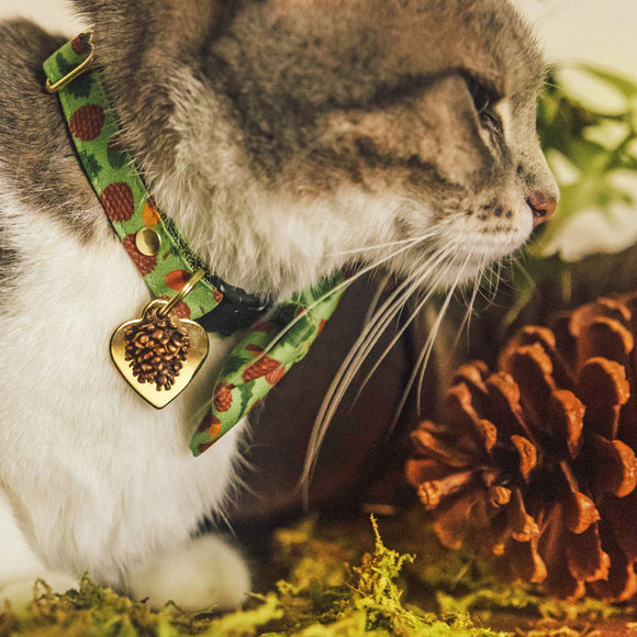 Stylish & Unique Cat Collars + Cat Bow Ties and Personalized ID Tags