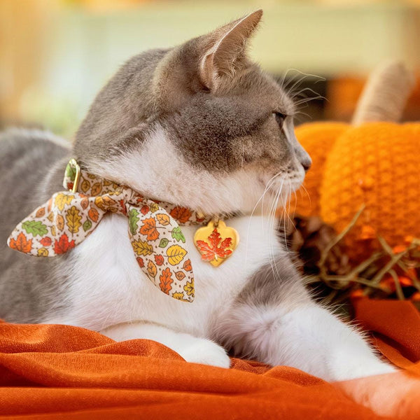This Fall-themed oak & maple leaf cat collar from Made By Cleo® is ...