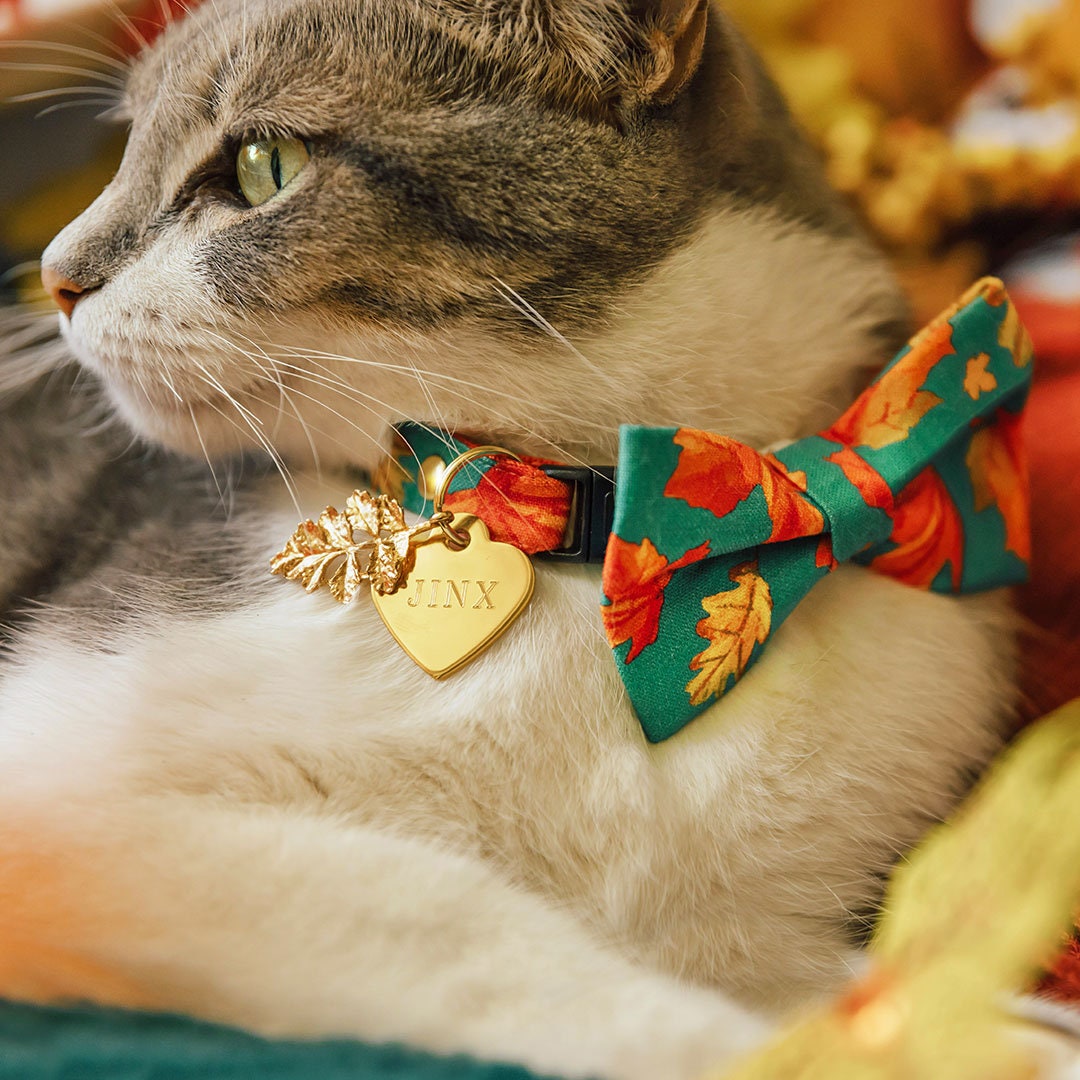 Cat Collar - "Maple Hill" - Autumn Leaves Cat Collar / Fall, Thanksgiv