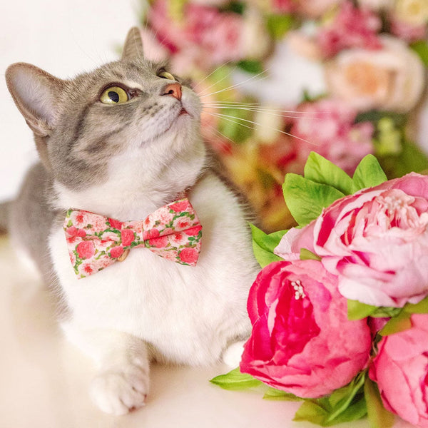 Pet Bow Tie - "Pretty in Peony - Pink" - Peonies Cat Bow / Spring + Su
