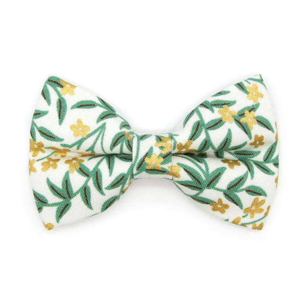 Rifle Paper Co. Collection